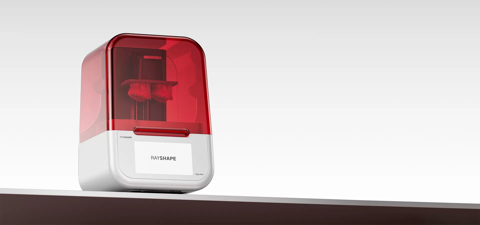 RAYSHAPE Edge Mini 3D Printer Manufacturer